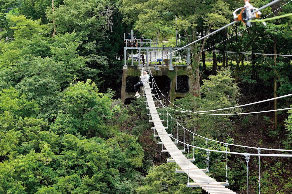 Get around the Seibu Line with the All-you-can-ride Pass - The Best ...