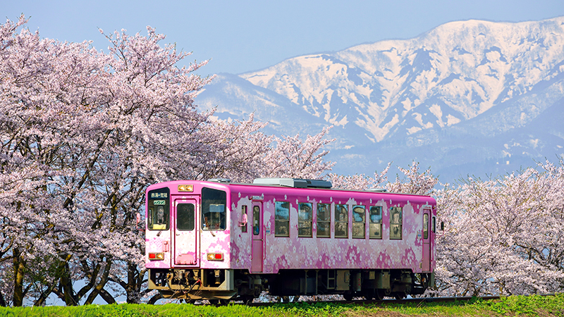 Essential Information for you travel in Tohoku to help people easily ...