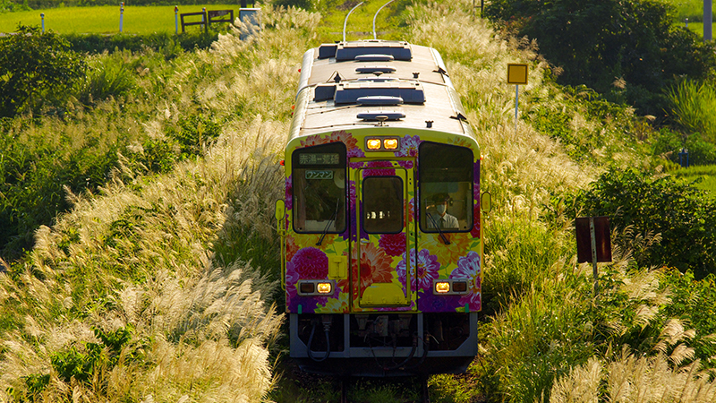 Essential Information for you travel in Tohoku to help people easily ...