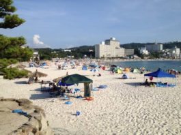 Picturesque Japan: Engetsu Island in Wakayama Prefecture - WAttention.com