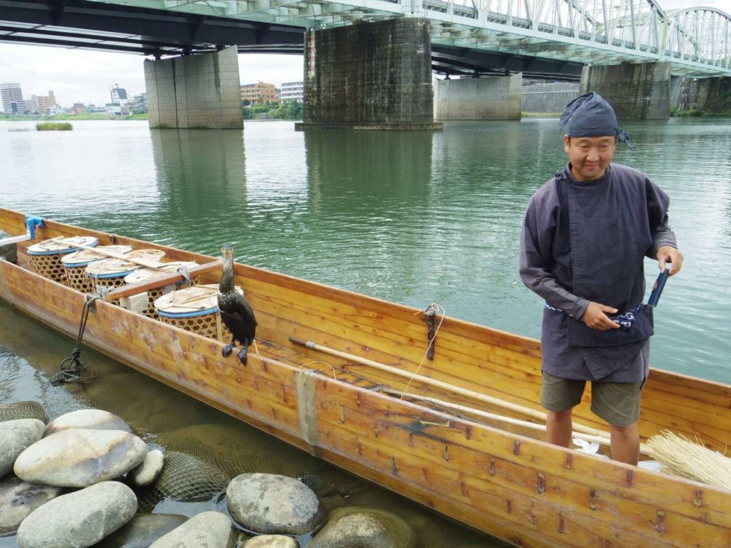 Ukai: Bird-Powered Fishing River Cruise - WAttention.com