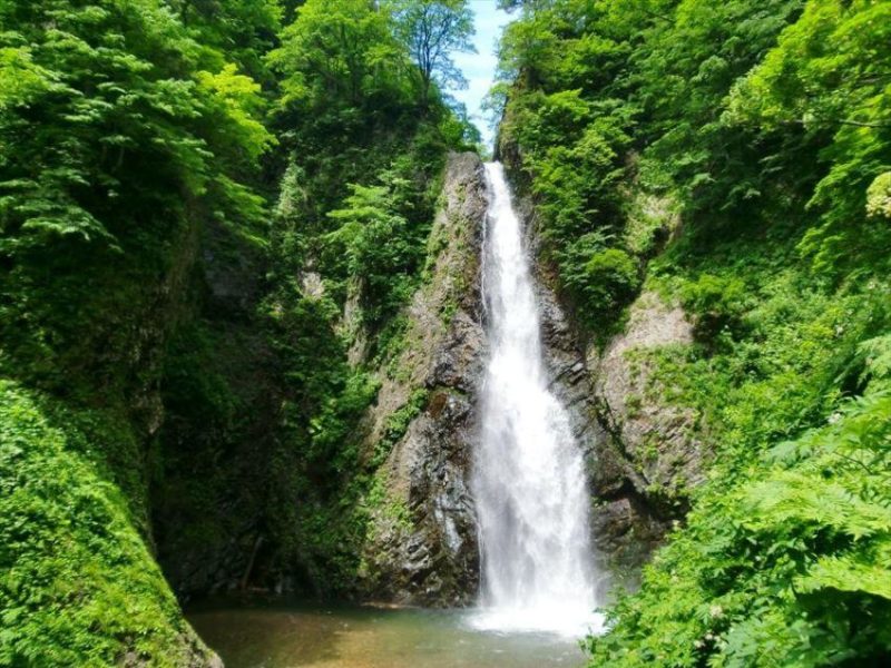 World Heritage (1): Shirakami Sanchi - WAttention.com