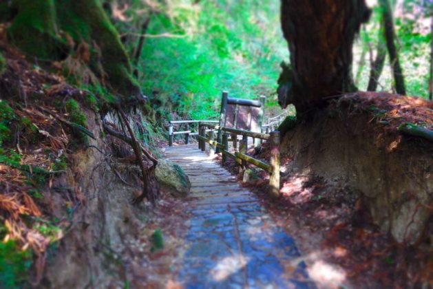 Naka-Harima: Delve into the mythical lands of Japanese folklore ...