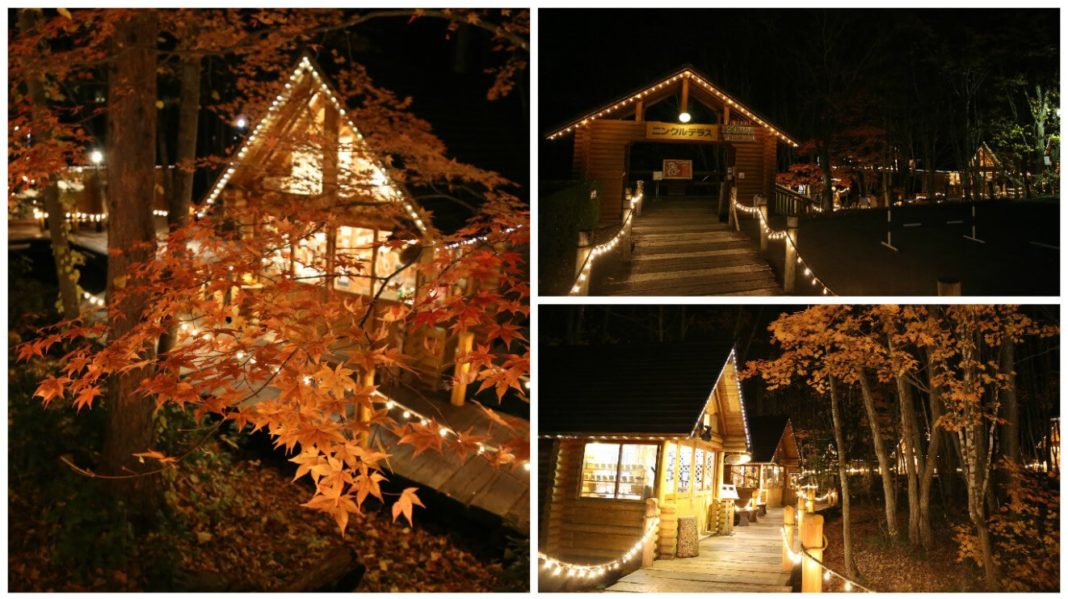 Hokkaido By Rail and Car Day 4: Biei and Furano - WAttention.com