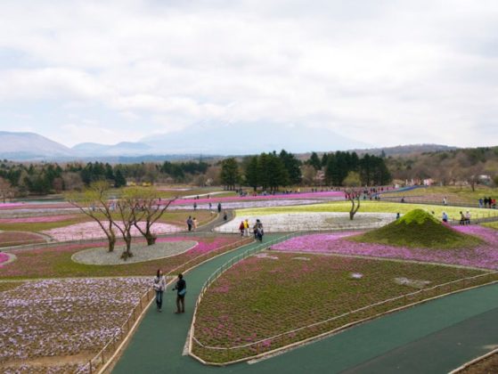 Five Activities at Fuji Five Lakes in Japan - WAttention.com