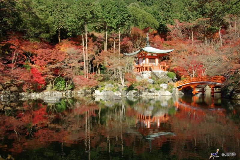 Ultimate Map of Fall Foliage Destinations in Japan : Kyoto (6 ...