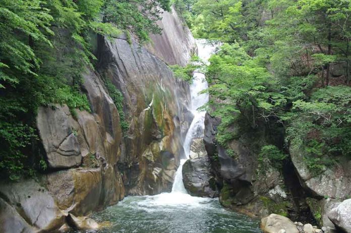 Mysterious, powerful water originating from Mt.Fuji and the Japan Alps ...