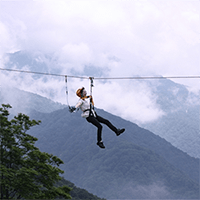 All you need to know about activities in Japan | Activity Japan