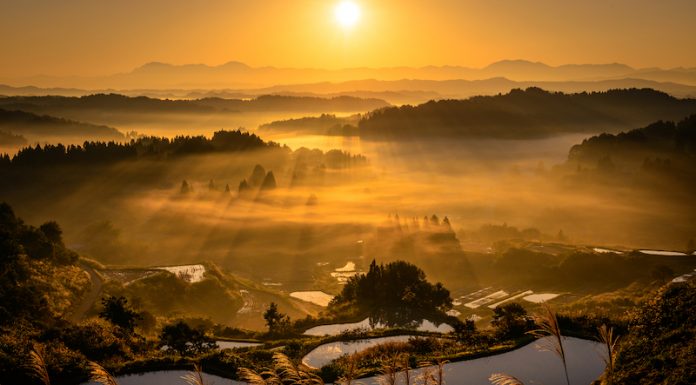 Explore the Unique Variety of Niigata: The Sea of Japan, Savory Food ...