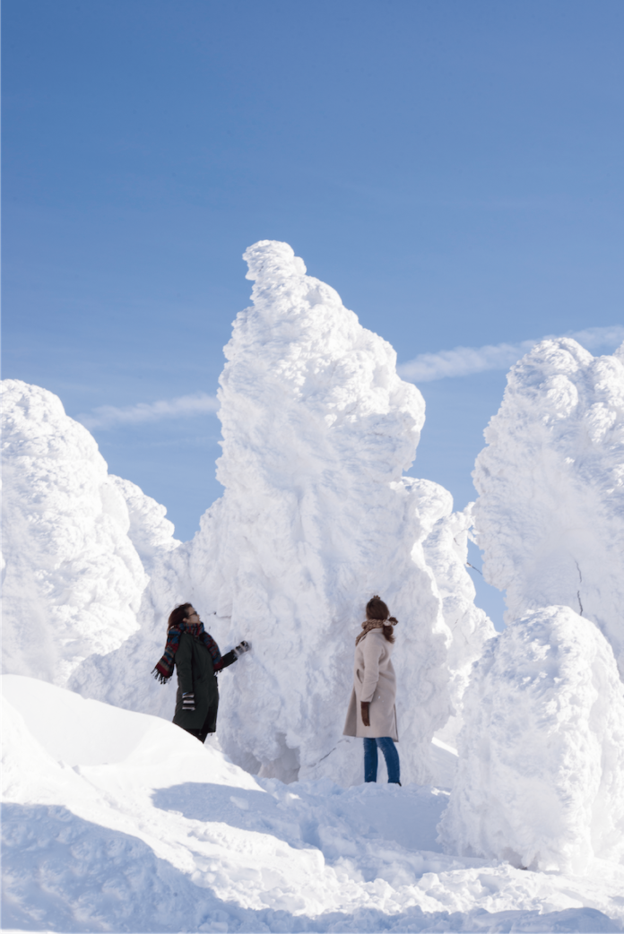 Japanese Snow Resort ZAO: Enter the world of Snow Monsters - WAttention.com