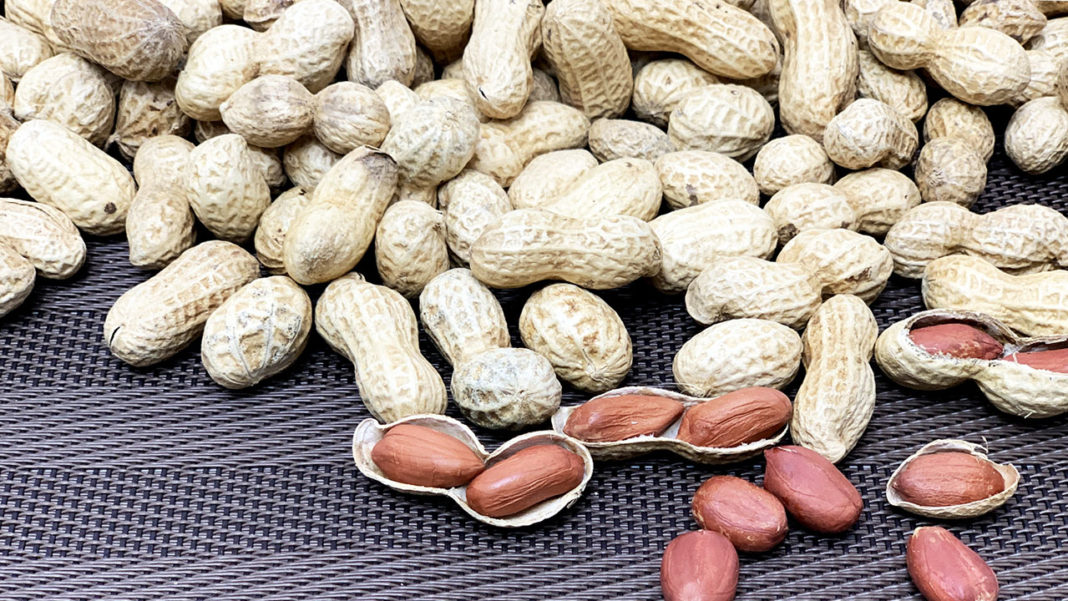 The Ultimate Chiba Food Guide – 15 Must-Try Items - WAttention.com