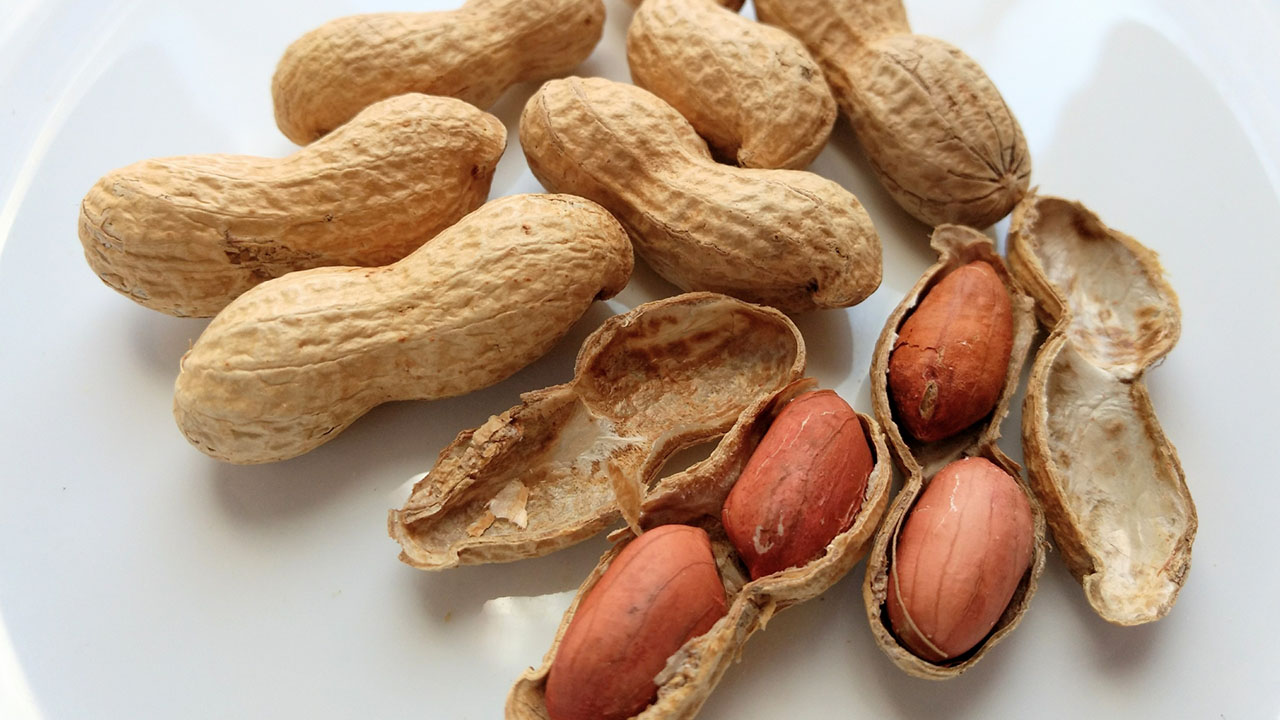 The Ultimate Chiba Food Guide – 15 Must-Try Items - WAttention.com