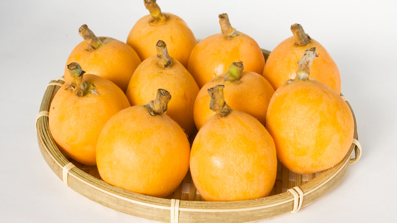 The Ultimate Chiba Food Guide – 15 Must-Try Items - WAttention.com