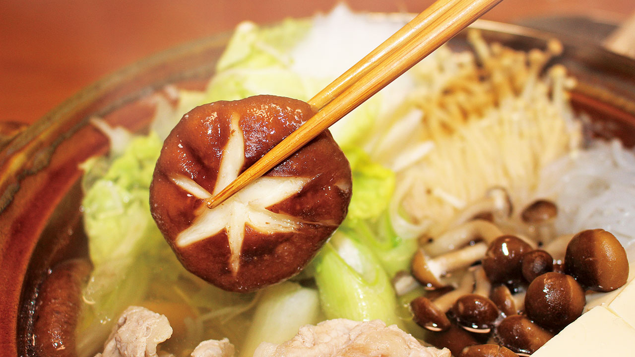 10 Ways to Enjoy a Japanese Winter - WAttention.com