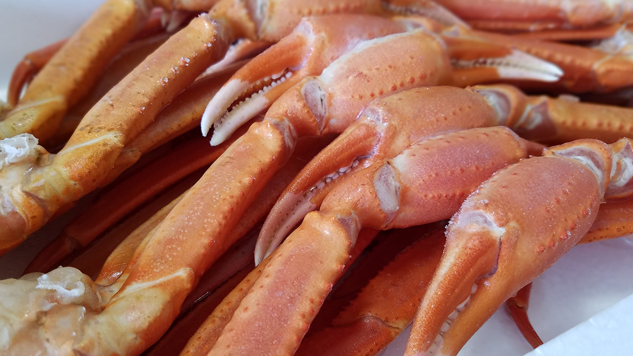 10 Japanese Winter Seafood Catches - WAttention.com