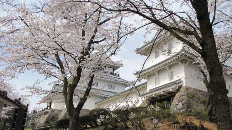 Encounter Nagaoka’s mystifying history and radiant culture - WAttention.com