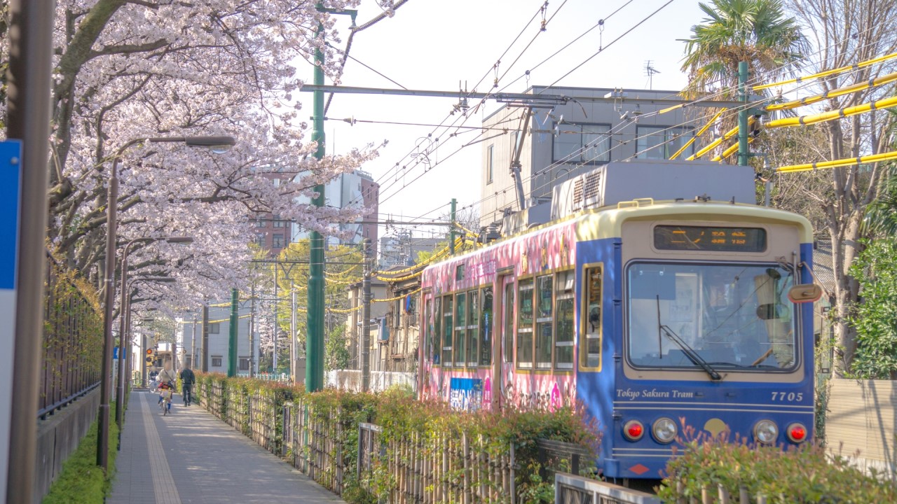 Tokyo Guide for 1 Day Train and Metro Passes - WAttention.com