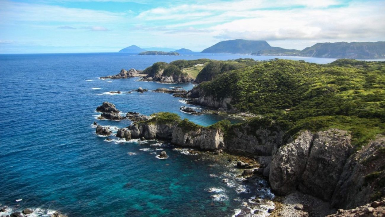 Charming Suburbs and Natural Beauty Beyond the Tokyo Skyline ...