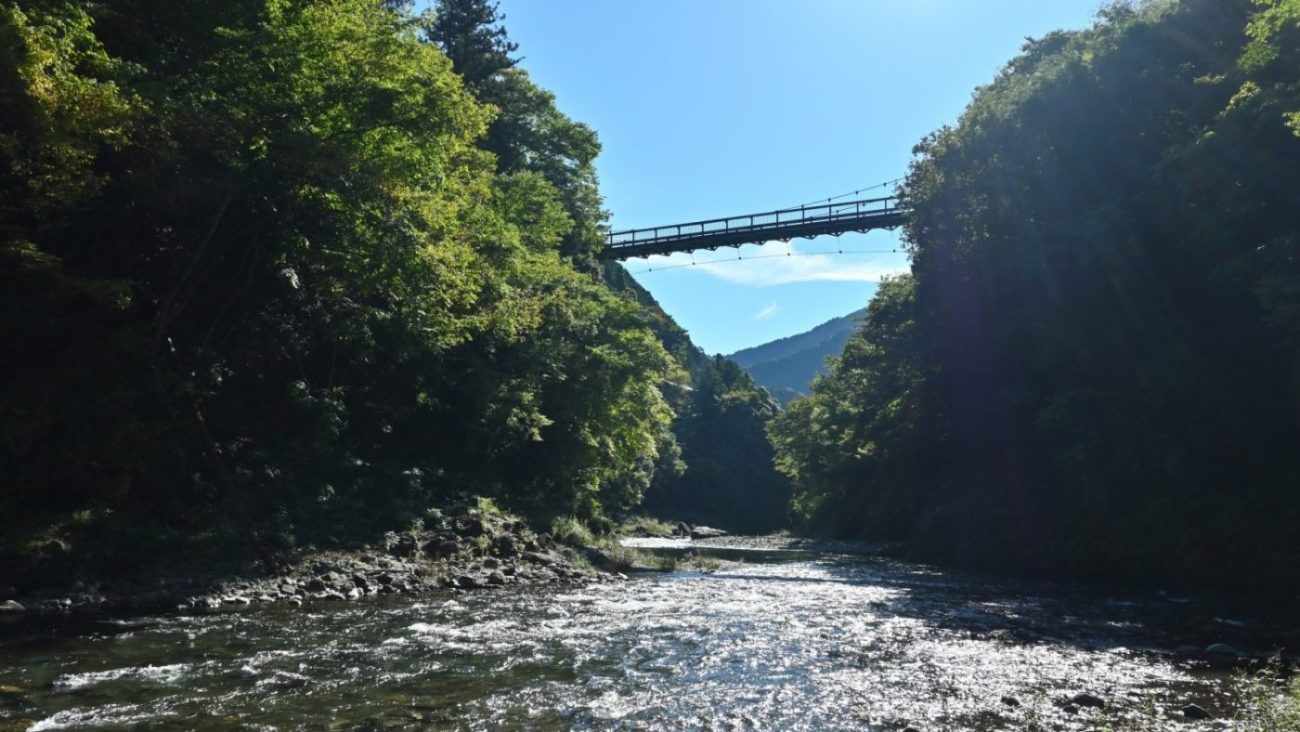 Charming Suburbs and Natural Beauty Beyond the Tokyo Skyline ...