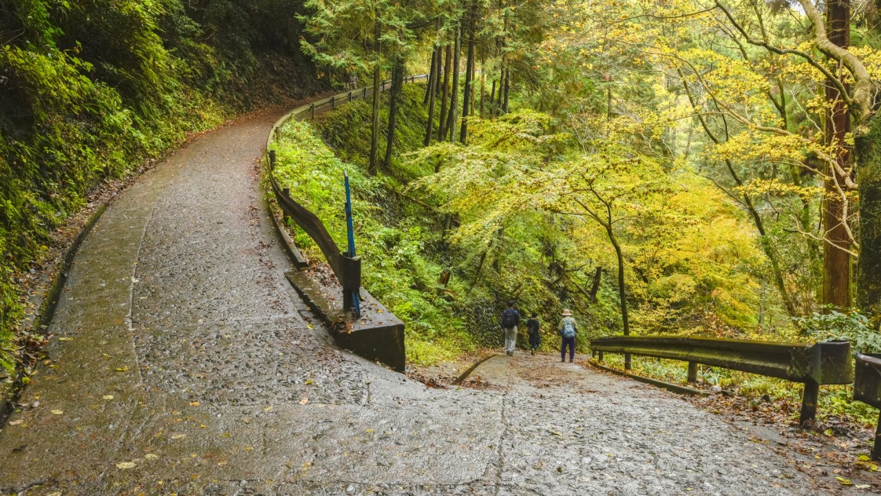 Hikes with Amazing Views in Japan - WAttention.com