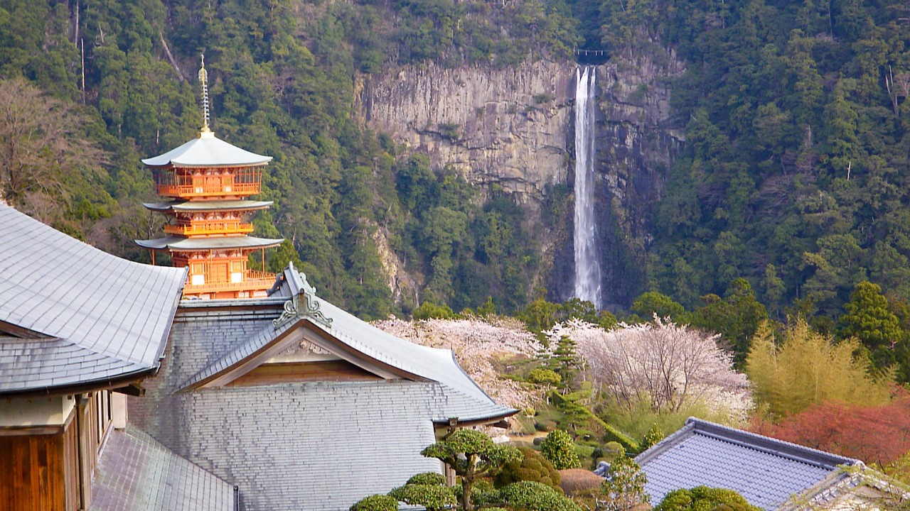 Ultimate Cherry Blossom Map in Kansai - WAttention.com