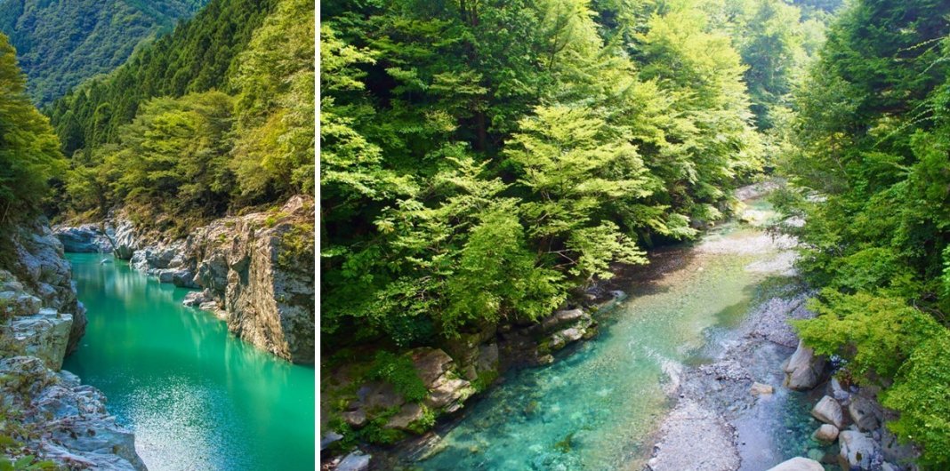 How Hot is Summer in Japan? - WAttention.com