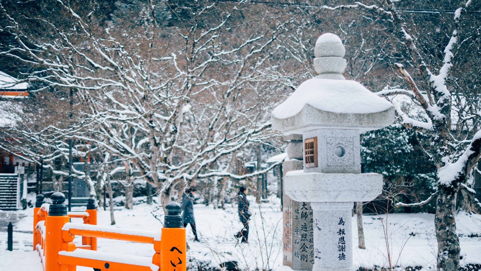 How Cold is Winter in Japan? - WAttention.com